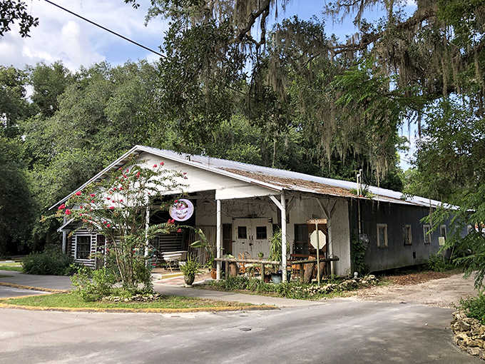 Micanopy Trading Outpost: A weathered white building with a welcoming porch, this unassuming treasure trove stands draped in Spanish moss and Florida history.
