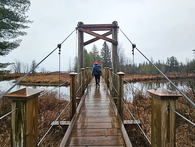 The suspension bridge at Naomikong Point beckons adventurers forward, swaying gently as if whispering secrets about the journey ahead.