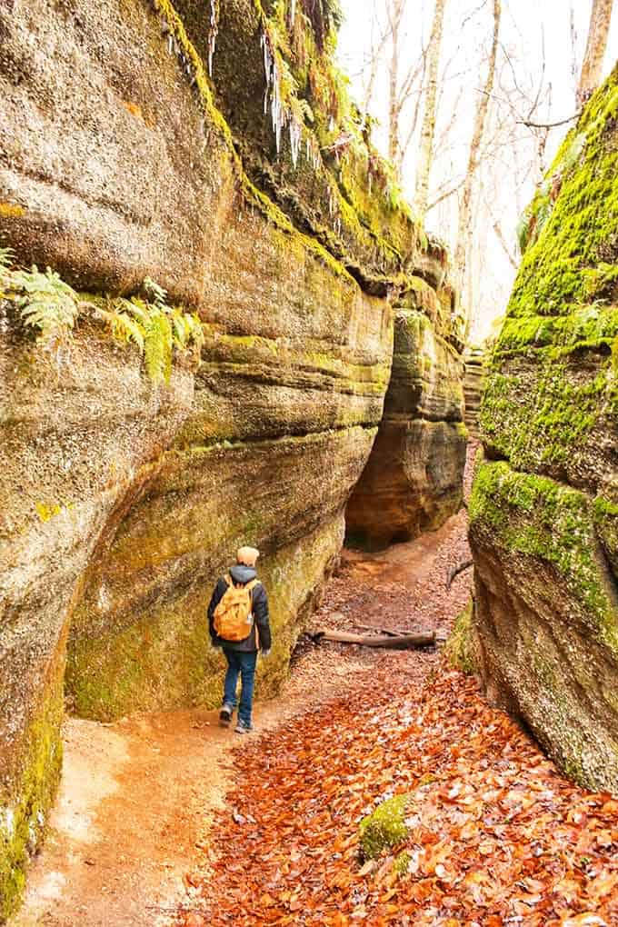 Nature's hallway beckons adventurers through towering sandstone walls, where moss-covered cliffs create a magical passage through geological time.