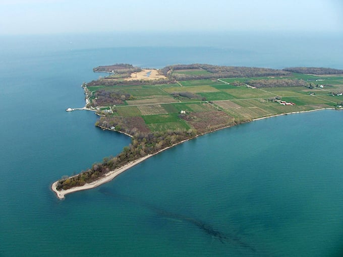 Aerial view of North Bass Island: Nature's perfect design – a one-square-mile paradise floating in Lake Erie's blue embrace, half covered in vineyards.