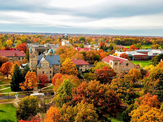 Oberlin's autumn splendor transforms the college campus into a painter's dream, where historic architecture meets nature's most vibrant palette.
