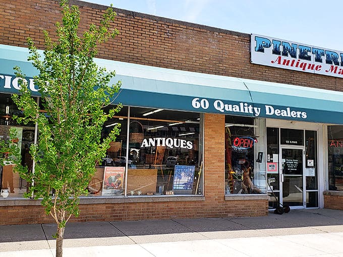 The unassuming brick facade with its classic green awning belies the wonderland of treasures waiting inside. Like a time portal disguised as a storefront!