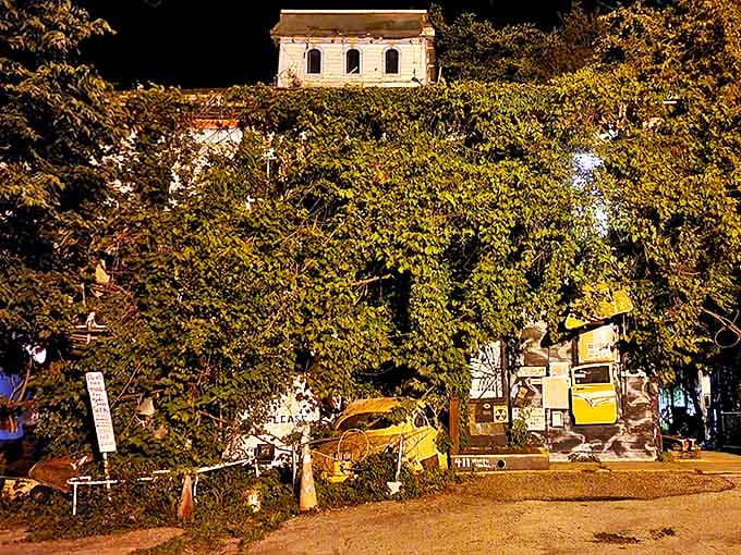 The Victorian mansion emerges from the greenery like a fever dream, its weathered facade hinting at the strangeness within.