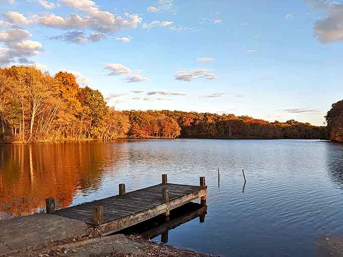 Red Hills State Park: Where Illinois keeps its most stunning sunsets &ndash; golden light dancing across still waters while trees stand in silent appreciation.