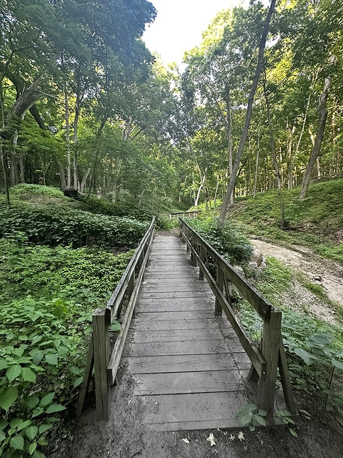 Wooden footbridges guide visitors through Riley Creek's lush summer landscape, inviting moments of pause above the gentle waters below.