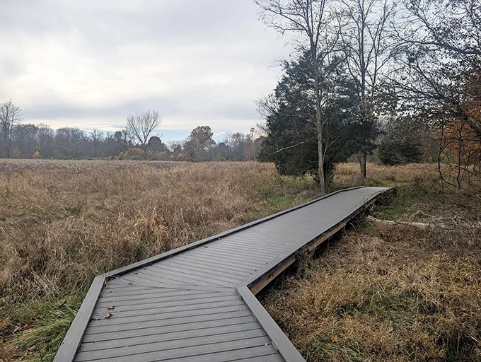 A wooden boardwalk cuts through golden prairie grass, inviting wanderers to discover what lies beyond the next bend.