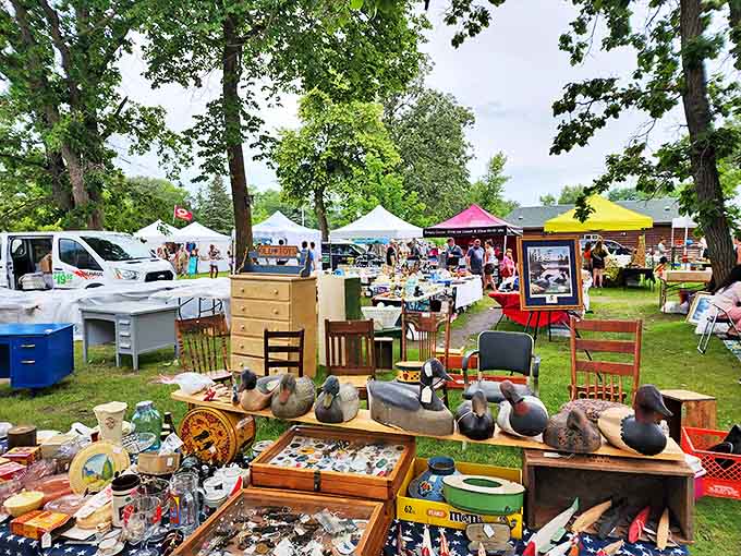 A treasure hunter's paradise unfolds under Minnesota skies, where tables laden with curiosities beckon the adventurous shopper at Shady Hollow Flea Market.