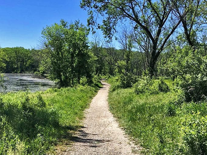 Skokie Lagoons Trail: Nature's welcome mat unfurls along this serene path, where dappled sunlight plays hide-and-seek through the leafy canopy.