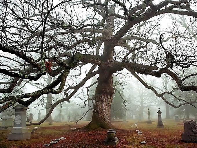 Ancient branches reach like spectral fingers through the mist, creating a hauntingly beautiful canopy over weathered gravestones.