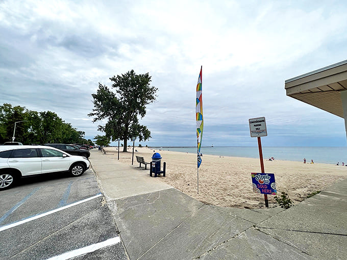 Stearns Park Beach: Where paradise meets parking lot convenience &ndash; Michigan's answer to those who hate long walks with beach gear.
