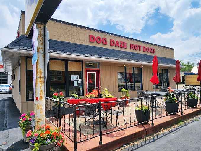 That cheerful red signage isn't just decoration, it's a beacon calling hot dog lovers to their happy place in Canton.