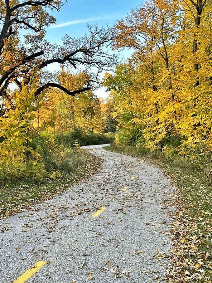 The Hastings Lake Loop: Golden autumn leaves frame this winding trail like nature's own welcome mat &ndash; Mother Nature showing off her seasonal decorating skills.
