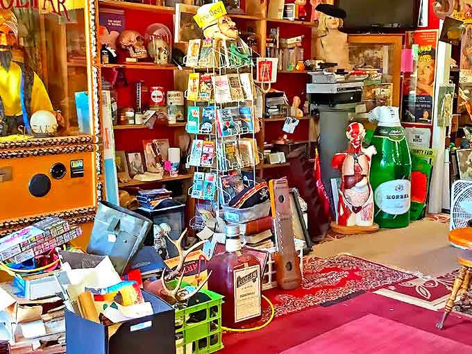 Treasure hunters paradise: where every shelf tells a story and every corner hides a potential conversation piece.