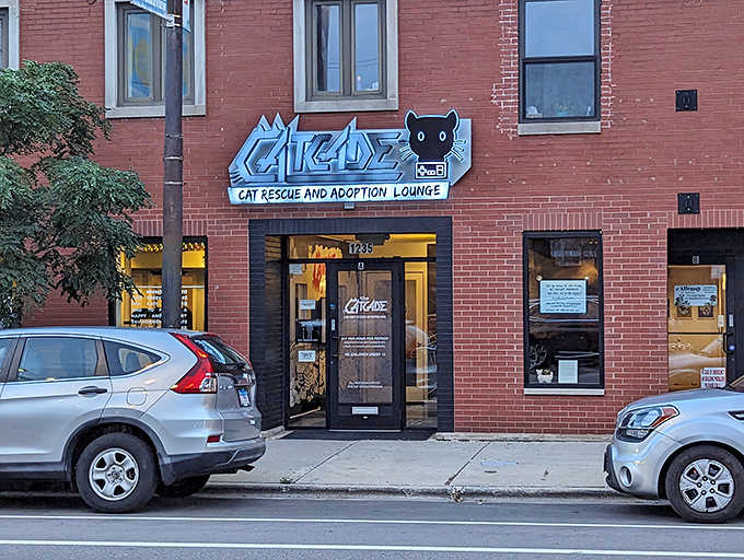 The striking blue "Catcade" sign beckons from this brick storefront on Belmont Avenue &ndash; Chicago's unexpected fusion of feline rescue and retro gaming awaits inside.