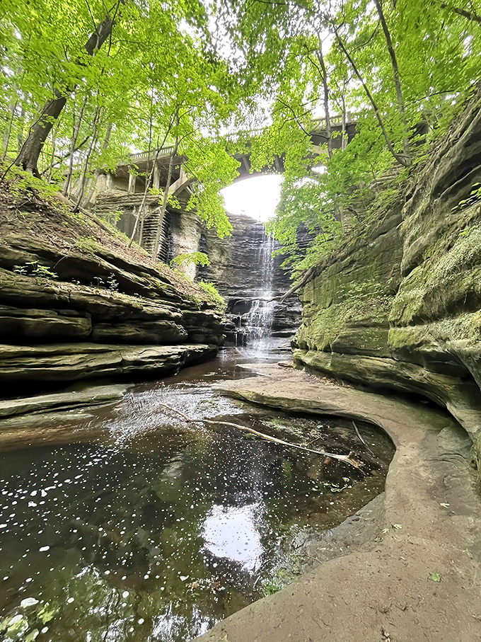 Nature's masterpiece: Cascading waters carve through ancient sandstone, creating a serene pool that reflects the verdant canopy above. Illinois' best-kept secret.