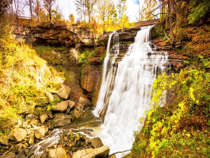 Brandywine Falls in autumn glory &ndash; where 65 feet of cascading water meets a symphony of fall colors that would make Bob Ross weep with joy.