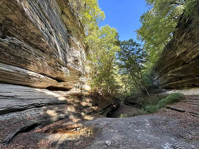 Nature's hallway: ancient sandstone walls tower on both sides of this canyon trail, creating a geological time tunnel worth exploring.