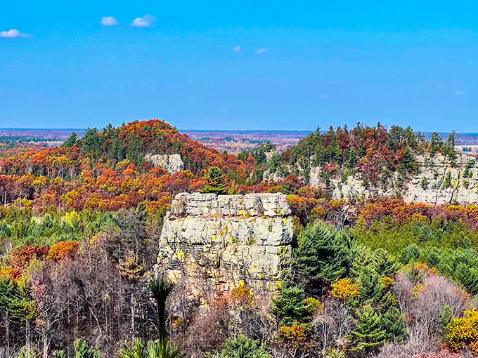 Nature's skyscrapers rise dramatically from Wisconsin's landscape, their autumn-painted crowns reaching toward an impossibly blue sky. Mill Bluff's geological wonders await.