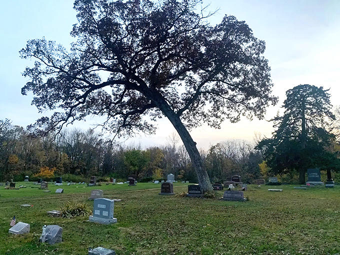 A majestic oak stands sentinel among weathered gravestones, its branches reaching skyward like nature's own monument to those resting below.