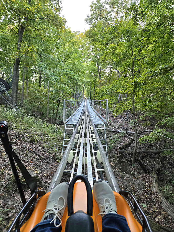 Aerie's Alpine Coaster stretches into the distance like a silver ribbon through the forest, promising thrills that'll make your inner child squeal with delight.