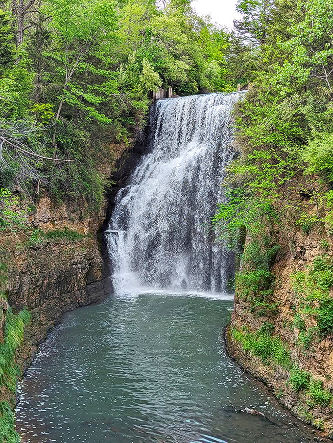 Nature's grand performance: Apple Canyon Lake Falls cascades dramatically over limestone cliffs, creating a mesmerizing spectacle that changes with each season.
