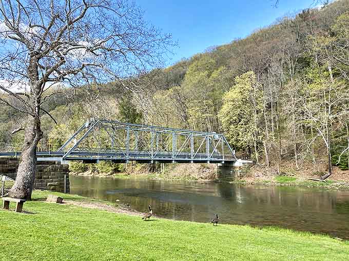 A steel truss bridge spans the serene waters of Little Beaver Creek, where geese gather as if posing for a postcard-perfect Ohio moment.