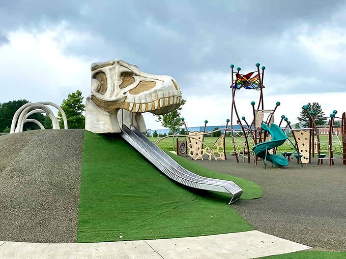 A prehistoric journey begins! This T-Rex skull slide invites brave explorers to enter through jaws and exit via twin metal slides.