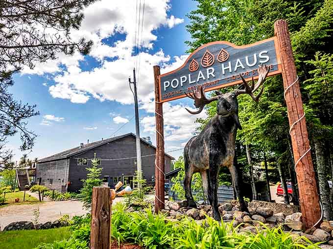 Welcome to wilderness luxury! Poplar Haus greets adventurers with rustic charm and a magnificent moose statue standing guard at the entrance.