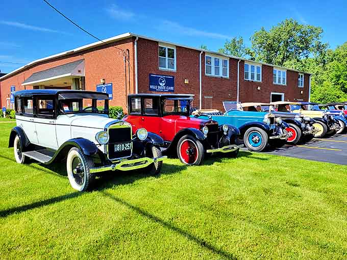 Classic beauties lined up outside the Wills Sainte Claire Museum, their polished chrome catching Michigan sunshine like it's 1925 all over again.