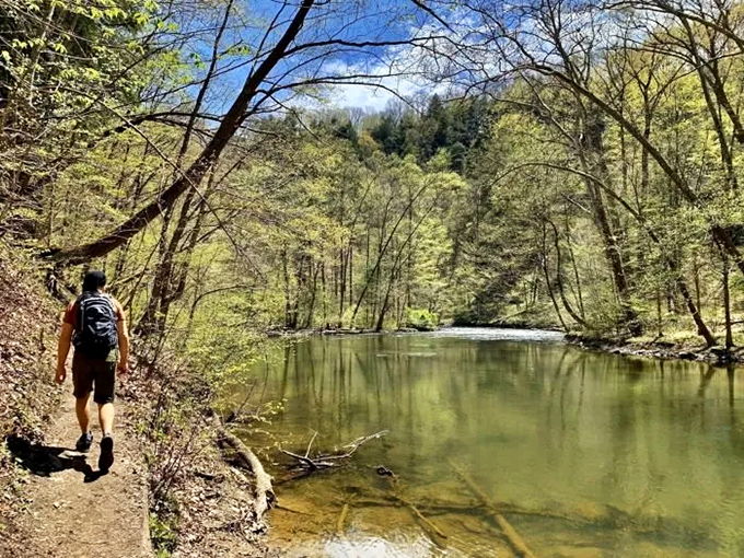 A solitary hiker follows the winding path alongside the tranquil waters of Clear Fork River, nature's version of a perfect meditation app.