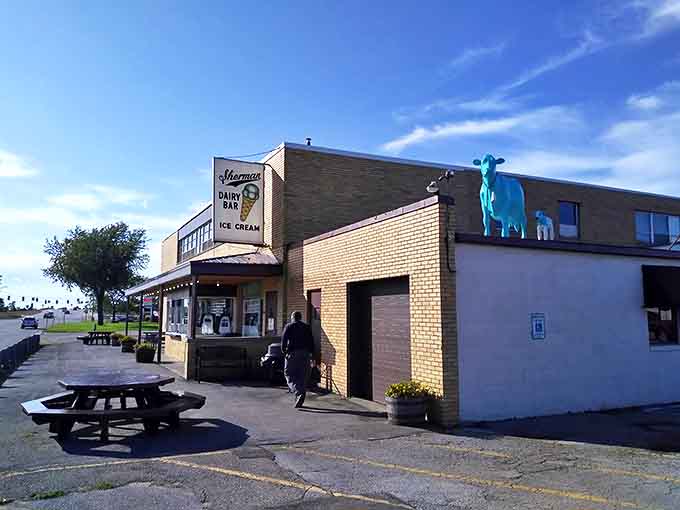 The iconic Sherman's Dairy Bar exterior, complete with its famous blue cow mascot standing guard over decades of ice cream dreams.