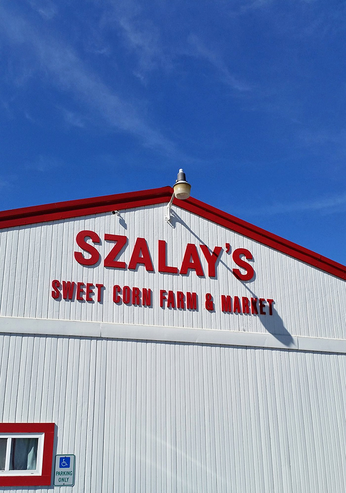 Szalay's Sweet Corn Farm – where vegetables are celebrities and corn is so fresh it practically jumps into your shopping bag.