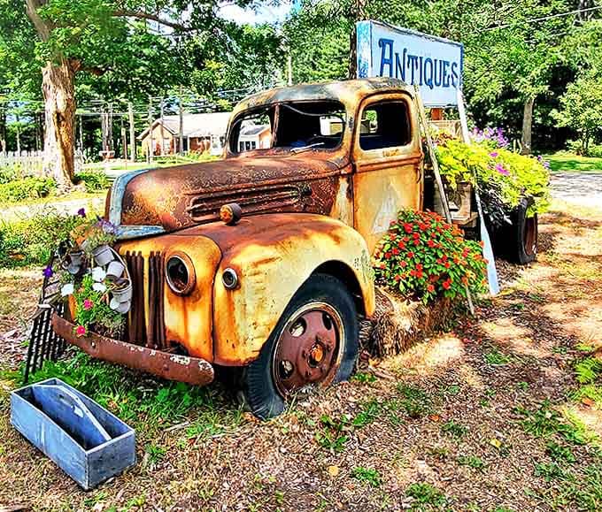 This vintage truck has retired from hauling cargo to hauling compliments, and honestly, it's earned that career change completely.