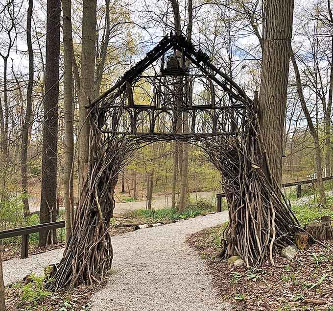 Nature creates its own masterpieces along these serene walking paths where twisted branches form magical woodland gateways.