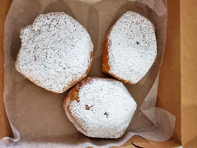 Beignets dusted with powdered sugar snow – these pillowy delights transport you to New Orleans without leaving Florida.