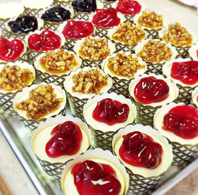 A tray of mini cheesecakes awaiting their forever homes &ndash; some topped with nuts, others with bright cherry compote, all promising a moment of sweet escape.