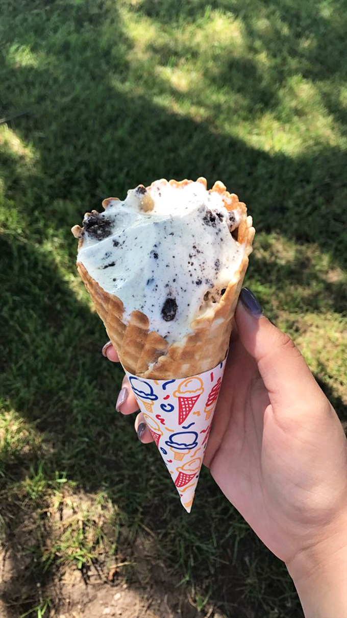 A cone of cookies and cream ice cream, held against summer grass, represents the simple perfection Wilson's has mastered.