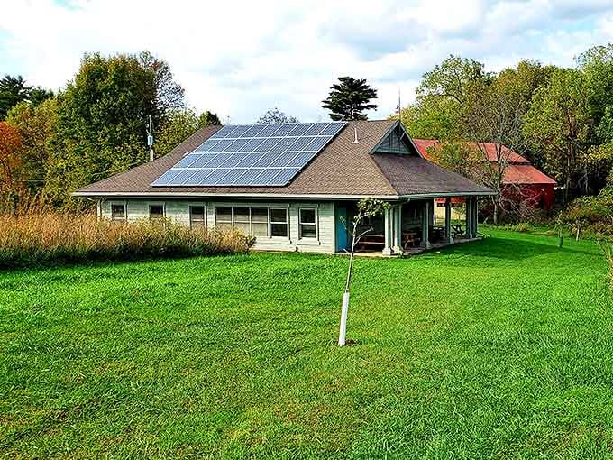 The Denison Biological Reserve offers trails through unspoiled nature that will have you forgetting what century you're in – until your phone buzzes.