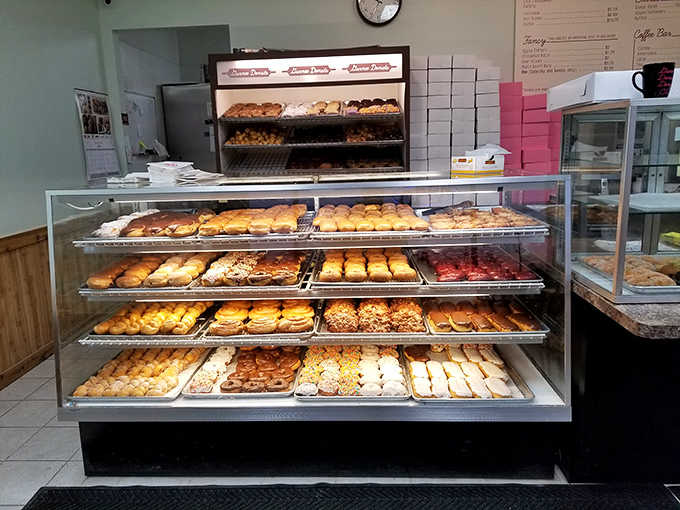 The display case gleams with fresh possibilities, each shelf a different chapter in the story of what happens when dough meets hot oil and creative inspiration.