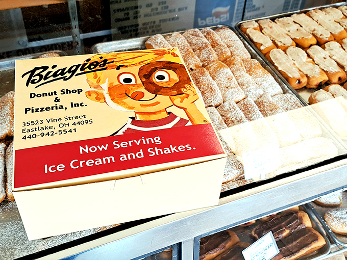 A box of assorted donuts isn't just breakfast – it's a choose-your-own-adventure story where every ending is deliciously happy.