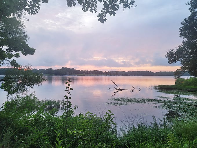 The east end overlook offers panoramic views that make smartphone cameras feel woefully inadequate.