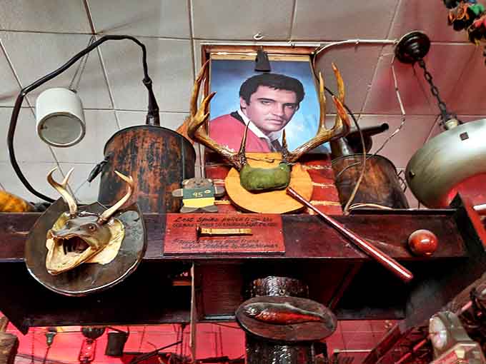 Elvis presides over this eclectic shrine with his characteristic cool, because even the King deserves a spot among the antlers and oddities.