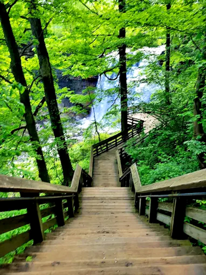 These wooden steps descending to the falls view aren't just stairs &ndash; they're a stairway to heaven for nature lovers with good knees.