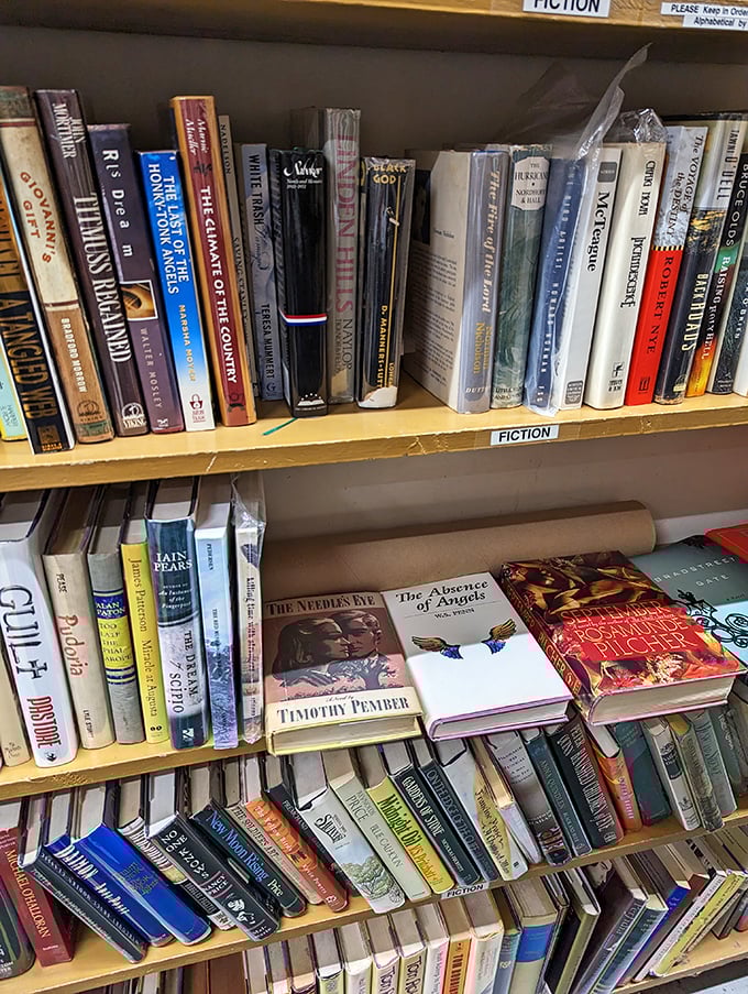 Fiction titles stand at attention like soldiers of imagination, each book a universe waiting to be explored by the right reader.