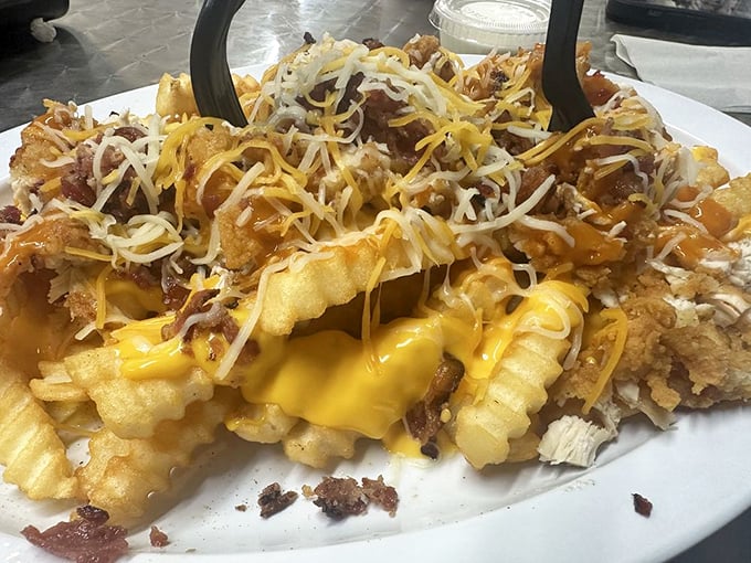Loaded fries that laugh in the face of moderation, topped with enough cheese, bacon, and pulled pork to make your cardiologist wince and your taste buds cheer.