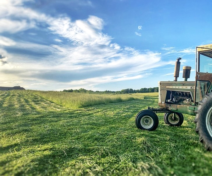 Rural landscapes surrounding Gallipolis remind visitors that farming isn't just history here &ndash; it's a living tradition where tractors still carve patterns into fields under endless Midwestern skies.