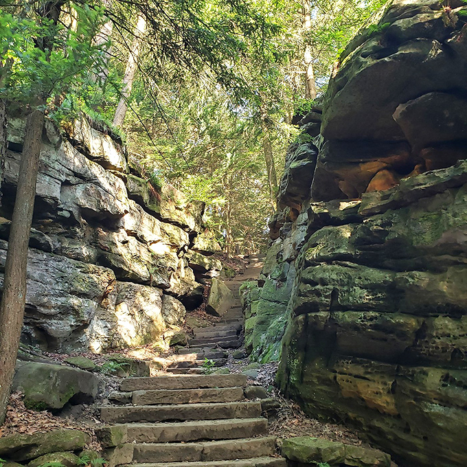 The Ledges Trail winds between ancient rock formations, creating natural hallways where time moves at geological pace.