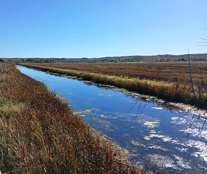 Reflections dance across calm waters, doubling the beauty in nature's mirror &ndash; no filter required.