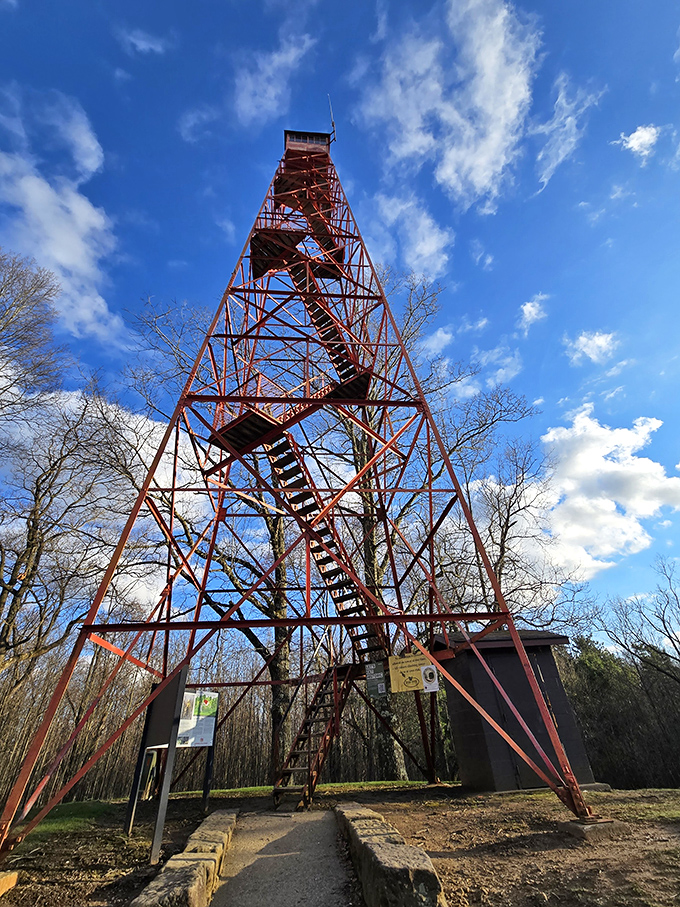 Stairway to heaven? Mohican's historic fire tower invites climbers to conquer their fear of heights for a bird's-eye view that makes the leg burn totally worth it.