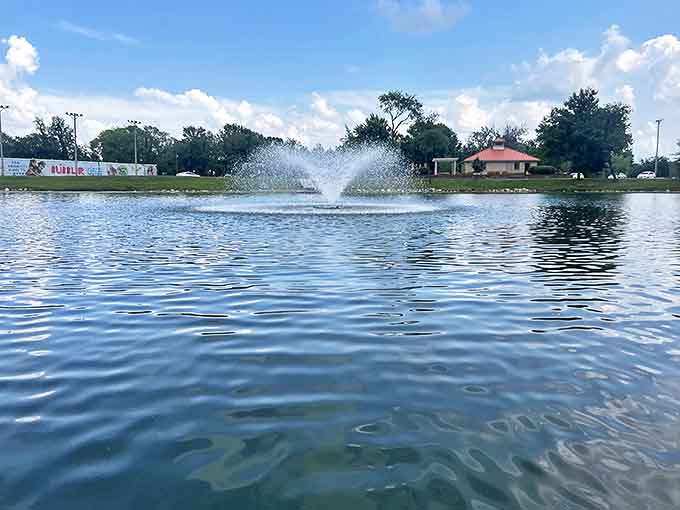 Moorman Park's fountain creates that perfect summer soundtrack – the splashing water that makes even the hottest afternoon feel manageable.